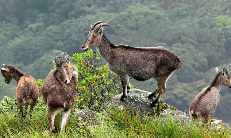 Kerala- God's Own Country